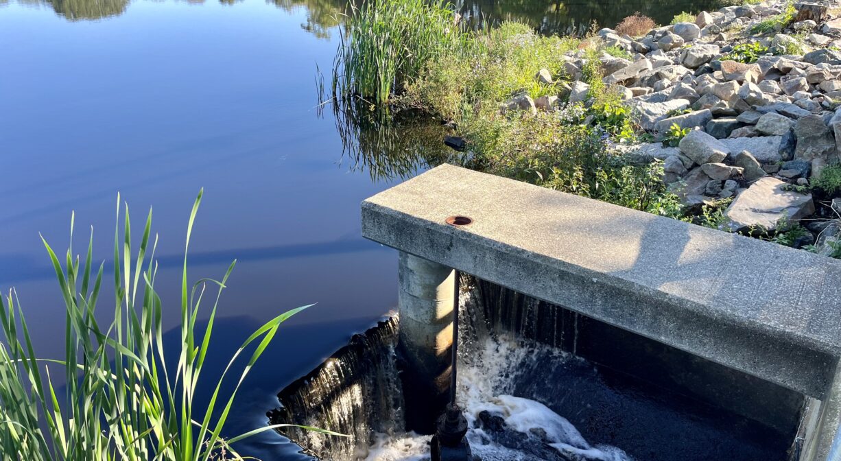Jacobs Pond Conservation Area - North and South Rivers Watershed ...