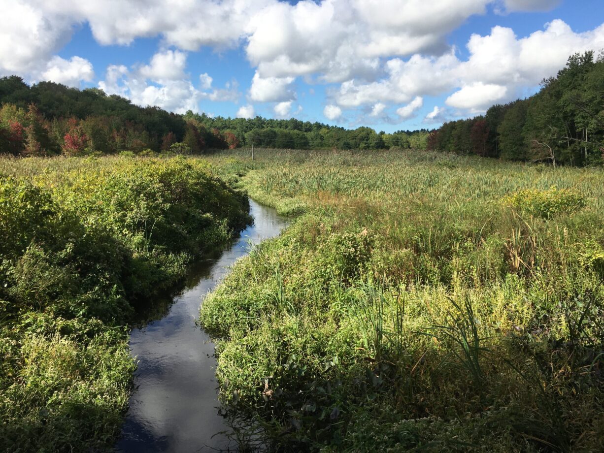 South River Bog - North and South Rivers Watershed Association