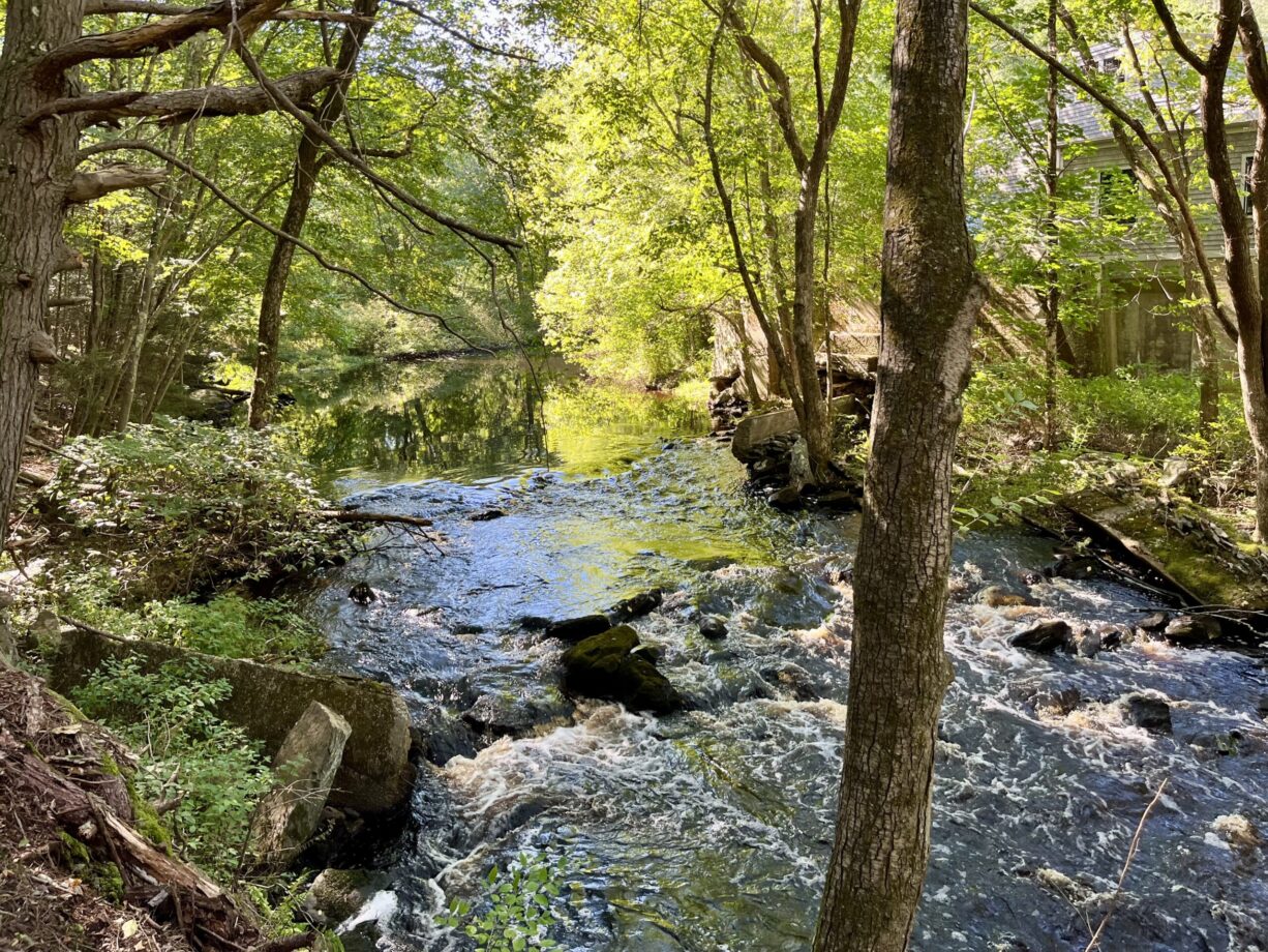 Tucker Preserve - North and South Rivers Watershed Association