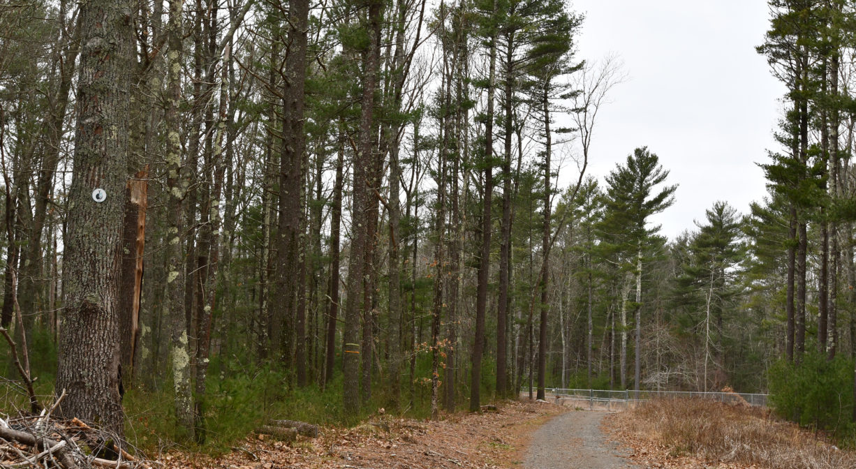 Pembroke High & Hobomock Elementary Trails - North and South Rivers ...