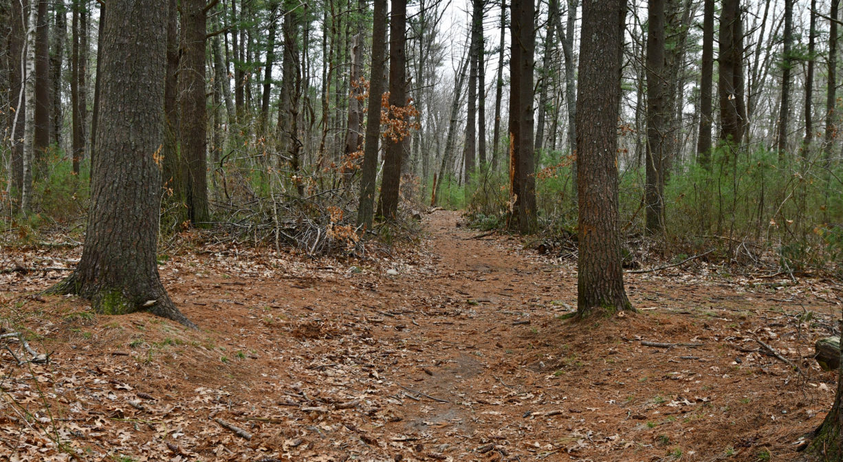 Pembroke High & Hobomock Elementary Trails - North and South Rivers ...