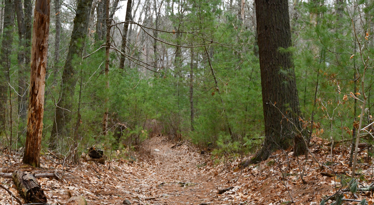 Pembroke High & Hobomock Elementary Trails - North and South Rivers ...