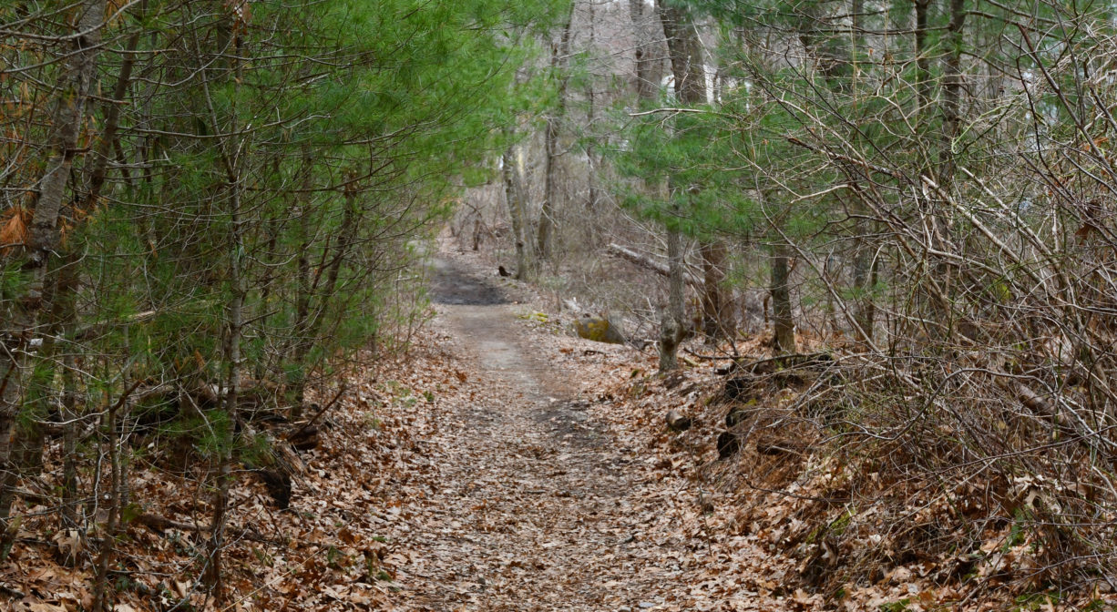 Pembroke High & Hobomock Elementary Trails - North and South Rivers ...