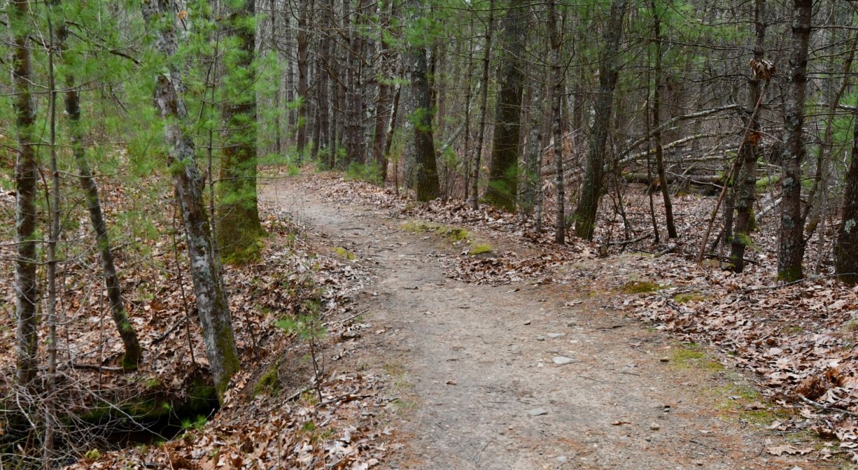 Pembroke High & Hobomock Elementary Trails - North and South Rivers ...