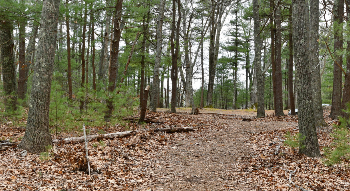 Pembroke High & Hobomock Elementary Trails - North and South Rivers ...