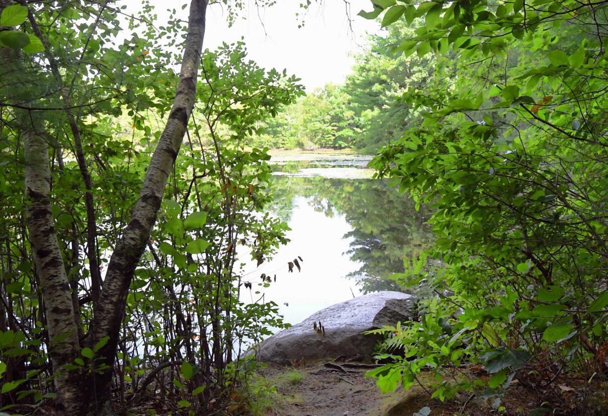 Thompson Pond Trail - North and South Rivers Watershed Association