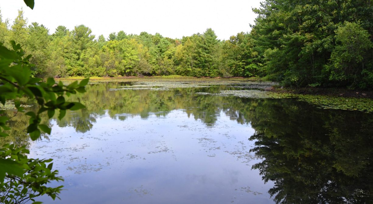 Thompson Pond Trail - North and South Rivers Watershed Association