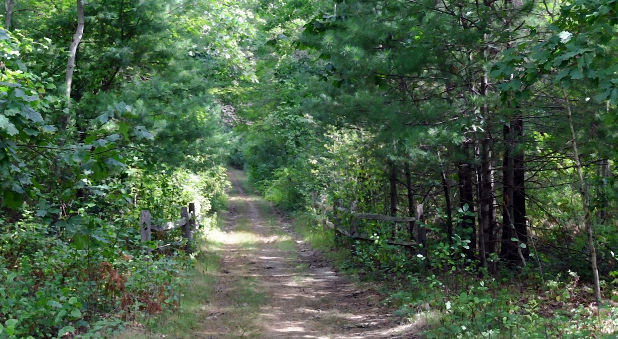 Thompson Pond Trail - North and South Rivers Watershed Association