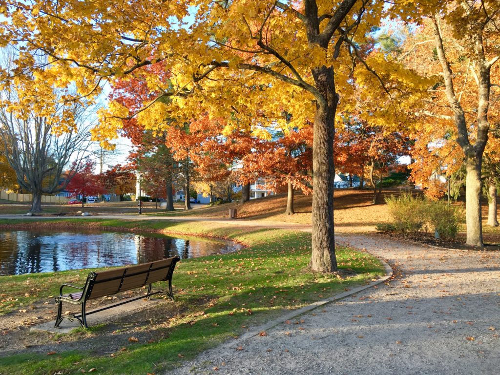 Nature Walks in Whitman: 4 Places to Explore - North and South Rivers ...