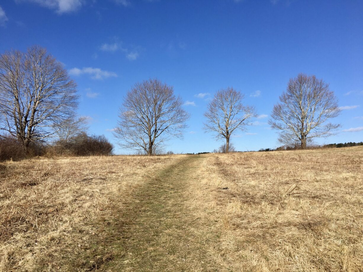 Bay Farm Conservation Area - North and South Rivers Watershed Association