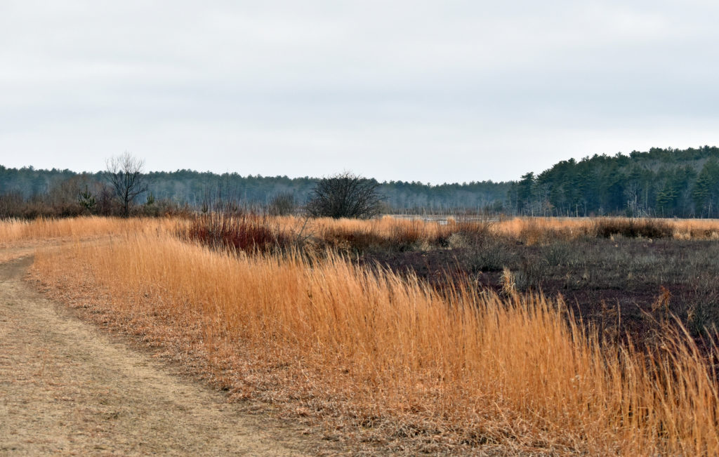 Nature Walks in Hanson: 9 Worthwhile Places to Explore - North and ...