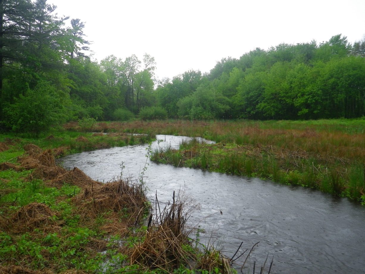 Third Herring Brook - North and South Rivers Watershed Association