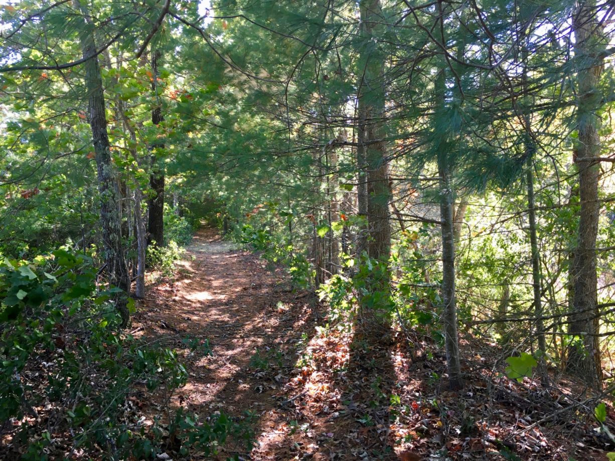 Donald Flaherty Trail - North and South Rivers Watershed Association