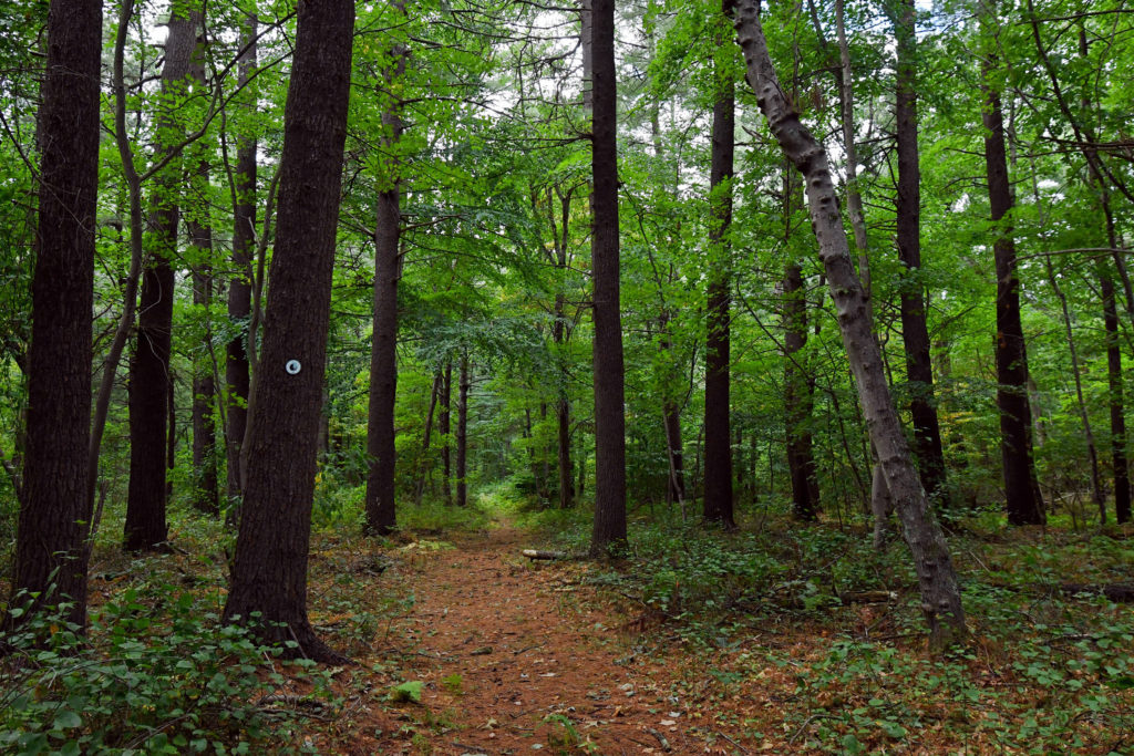 11 Places to Visit with Little Kids - North and South Rivers Watershed ...