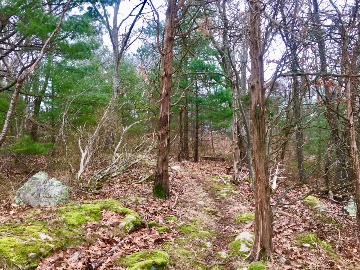 11 Secret Trails To Explore This Fall - North and South Rivers ...