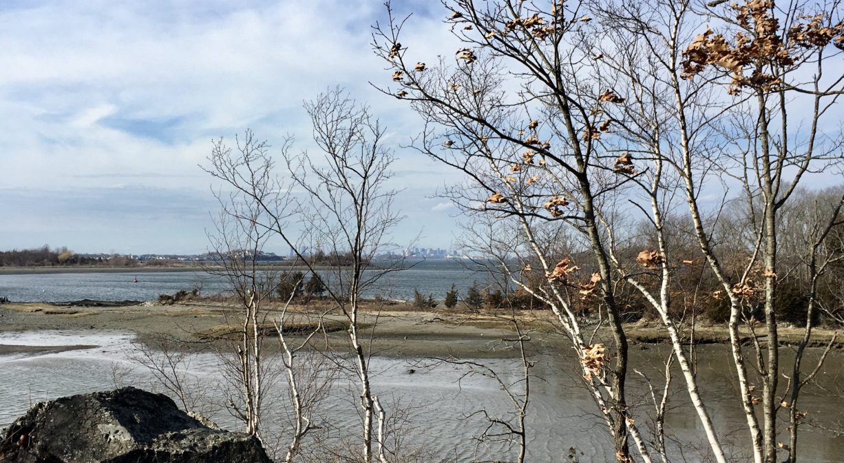 Bouve Conservation Area - North and South Rivers Watershed Association