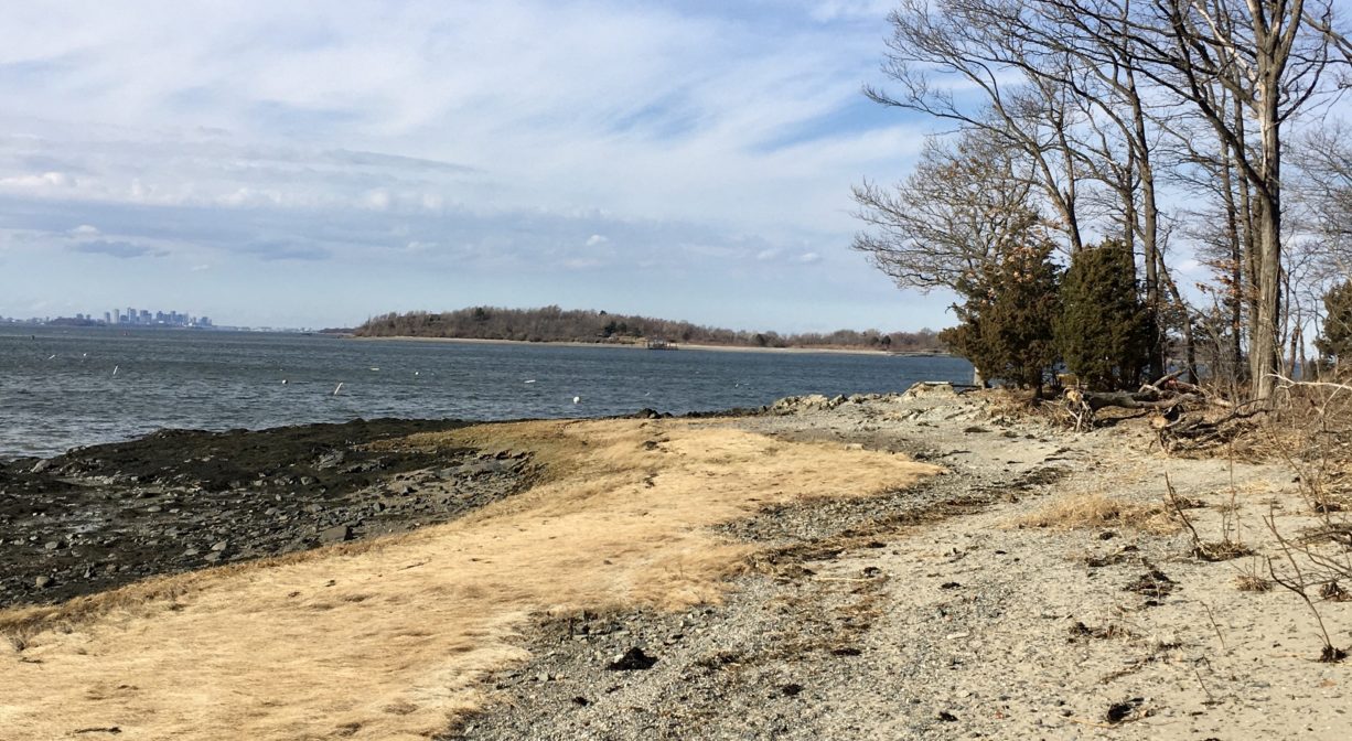 Bouve Conservation Area - North and South Rivers Watershed Association