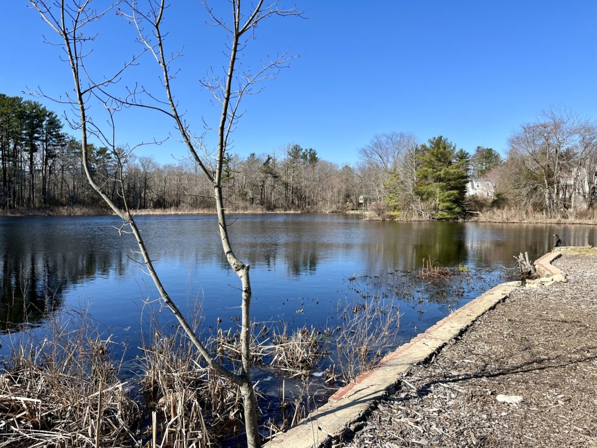 Skating Club Pond - North and South Rivers Watershed Association