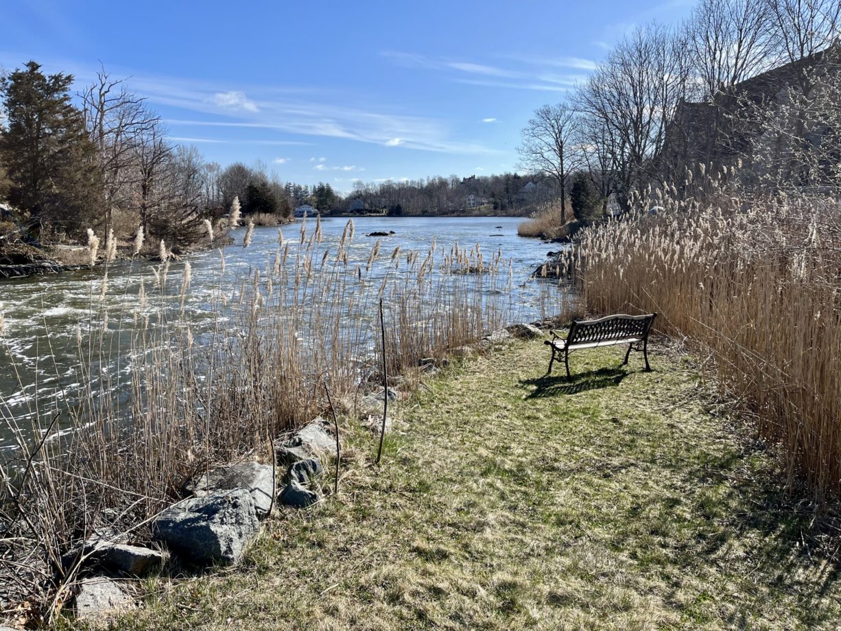 Straits Pond Tide Gate - North and South Rivers Watershed Association