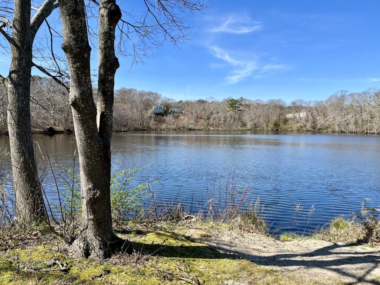 Hedge Pond Conservation Area - North and South Rivers Watershed Association