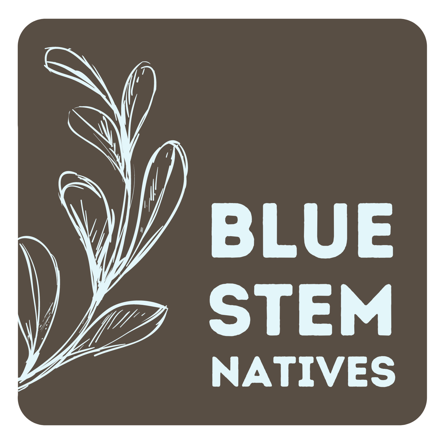 NSRWA Launches New Program "Grow Native" - North and South Rivers ...