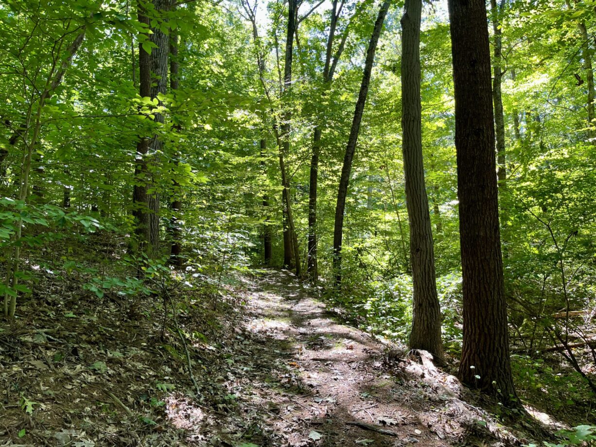 South Elementary School Nature Trail - North and South Rivers Watershed ...