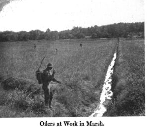 Salt Marsh Ditches of the South Shore - Part 2 - North and South Rivers ...