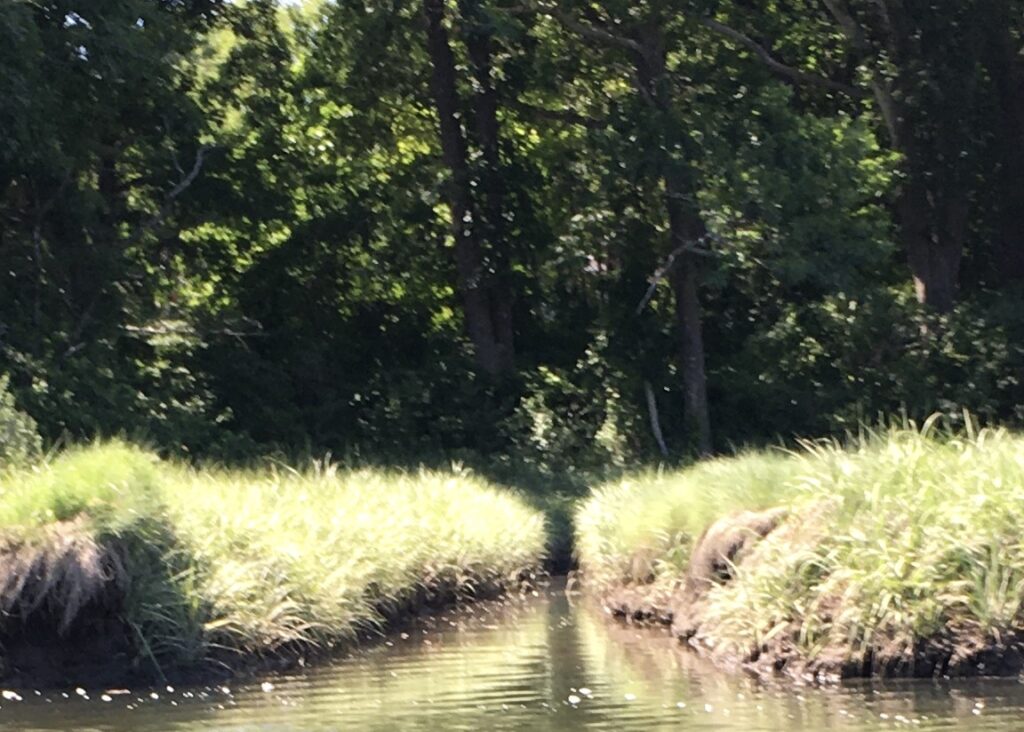Salt Marsh Ditches of the South Shore - Part 2 - North and South Rivers ...