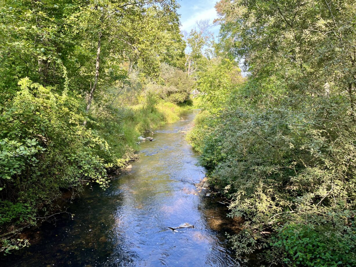 9 Places to View Free-Flowing Streams - North and South Rivers ...