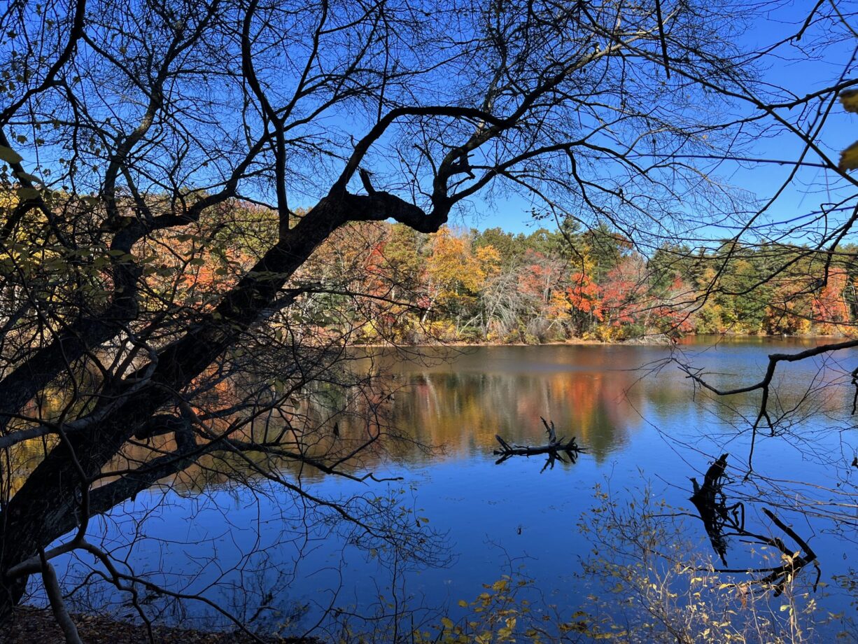 Russell Mill Pond Conservation Area - North and South Rivers Watershed ...