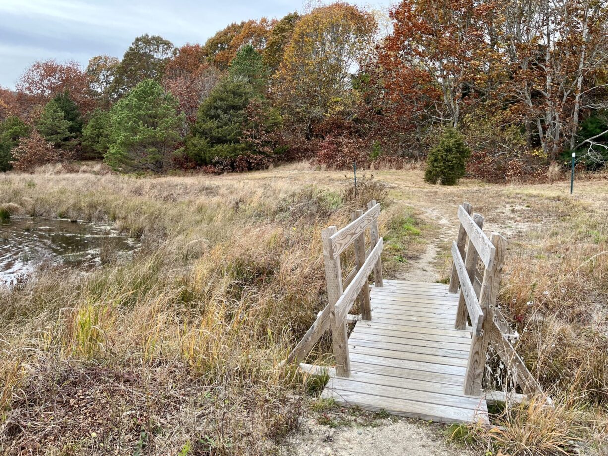 Foothills Preserve - North and South Rivers Watershed Association