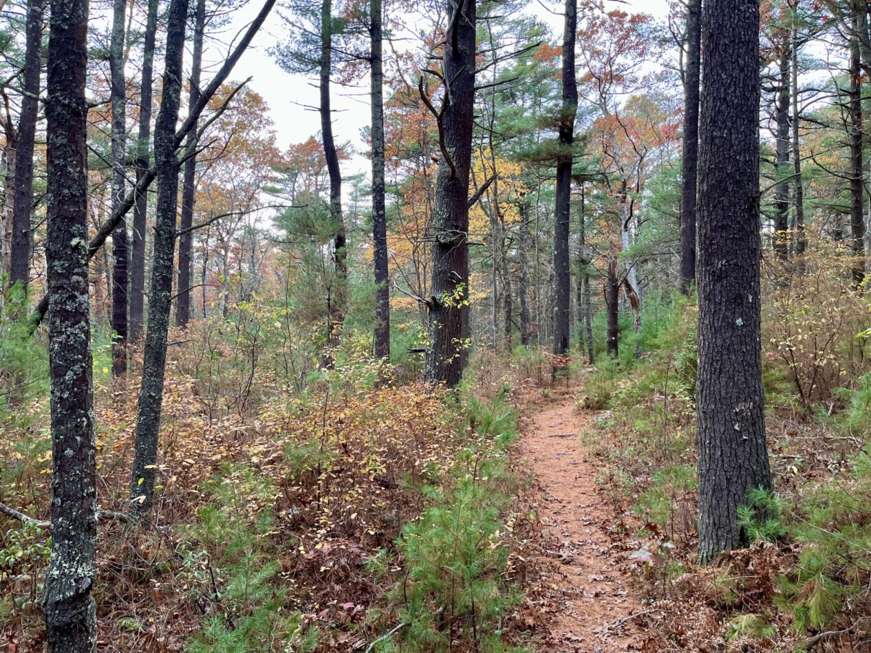 Indian Brook Conservation Area - North and South Rivers Watershed ...
