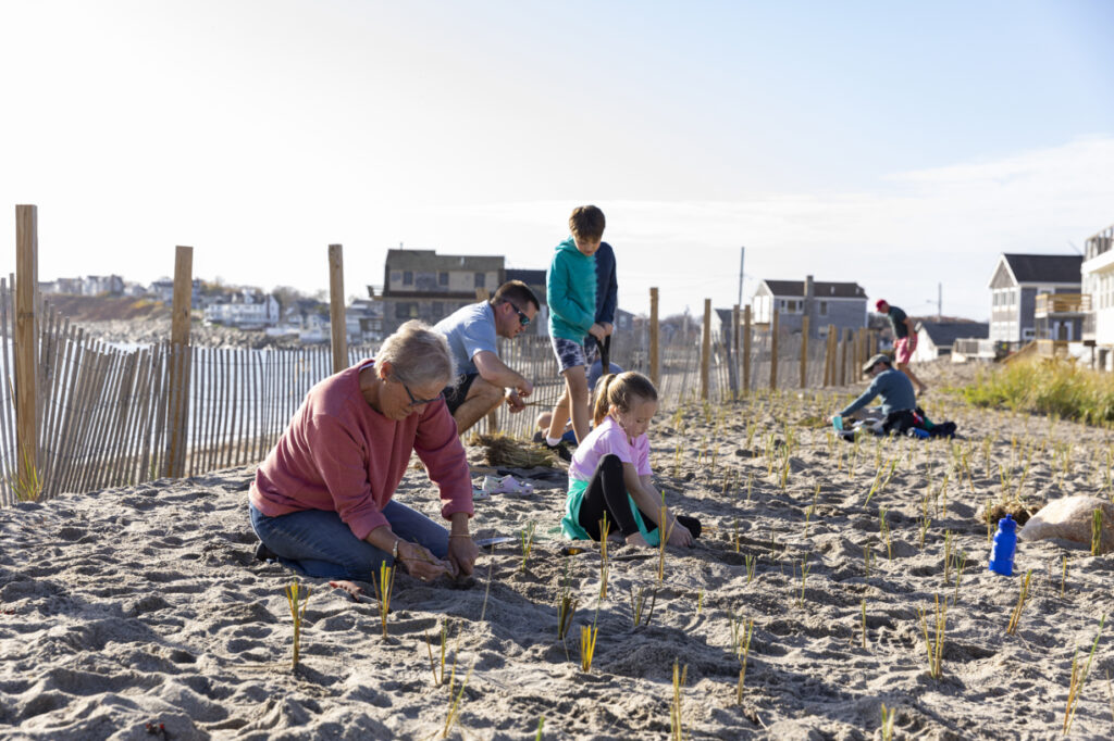 South Shore Residents Do Their Part at Beachgrass Planting Day - North ...