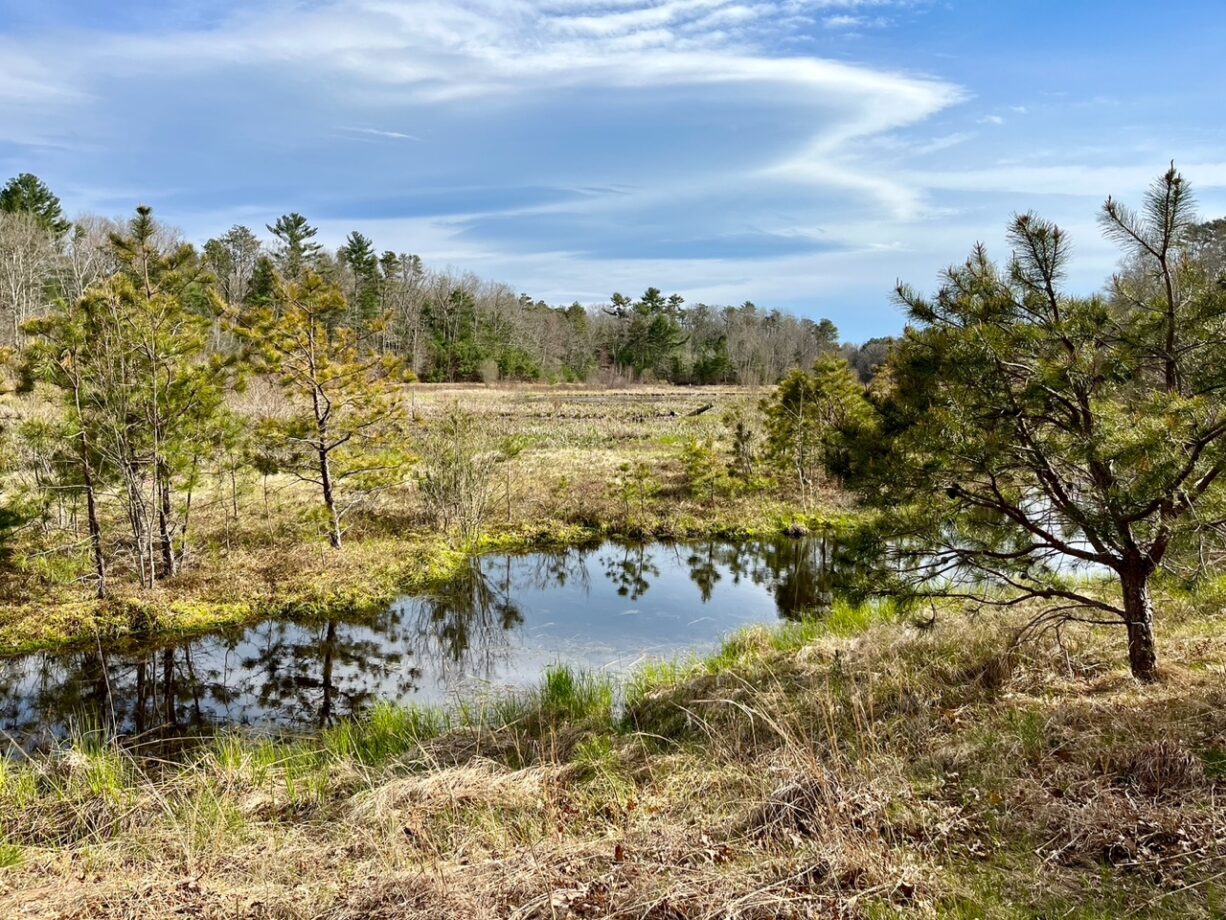 Home - North and South Rivers Watershed Association