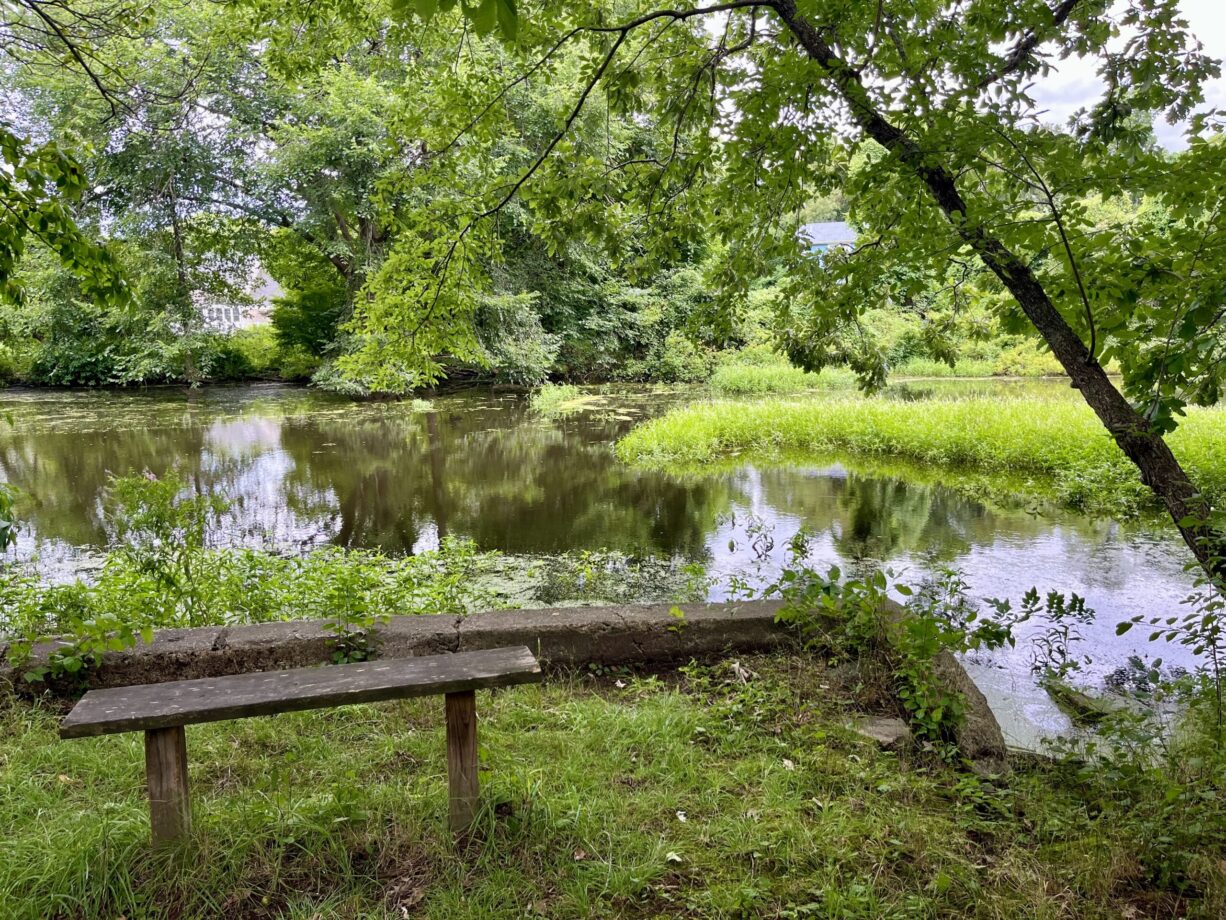 Fee Pond - North and South Rivers Watershed Association