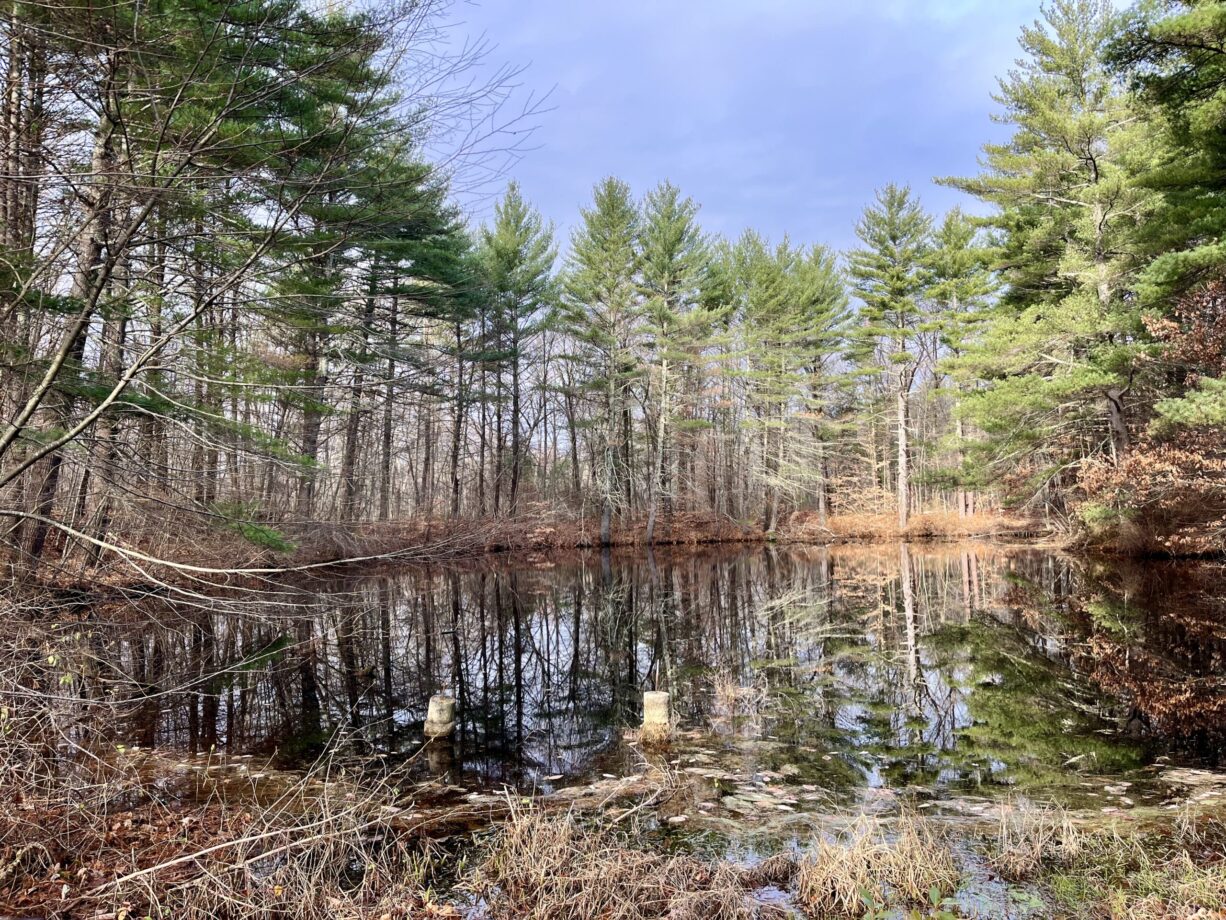 Nature Walks: 11 New Places To Explore in 2023! - North and South ...