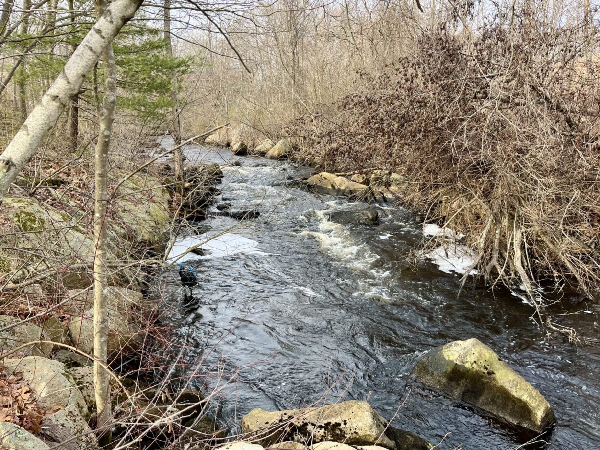 Monatiquot River Nature Trail - North and South Rivers Watershed ...