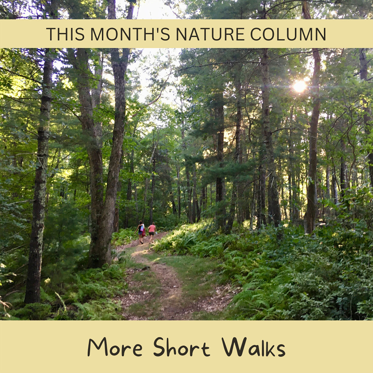 More Short Walks - North and South Rivers Watershed Association