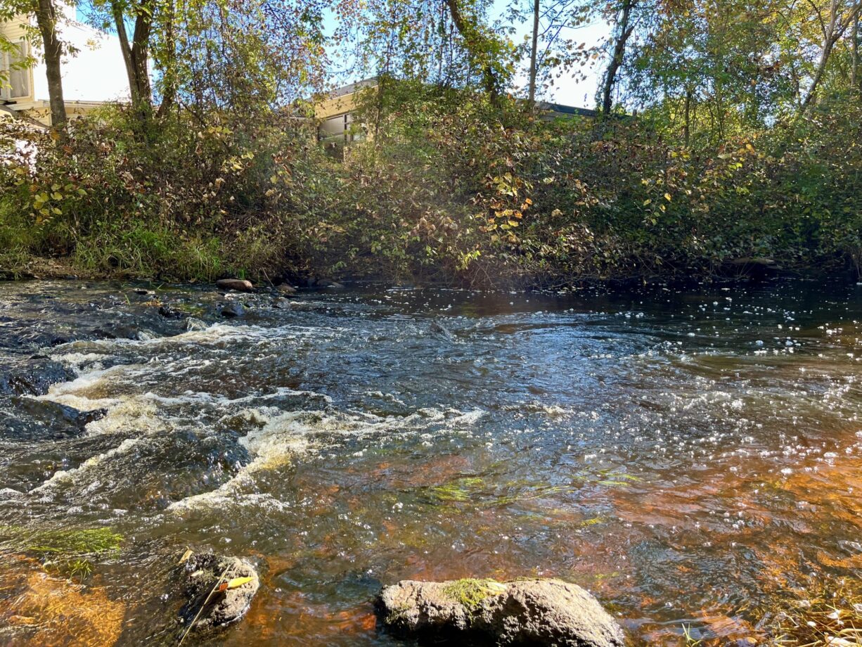 Triphammer Park - North and South Rivers Watershed Association