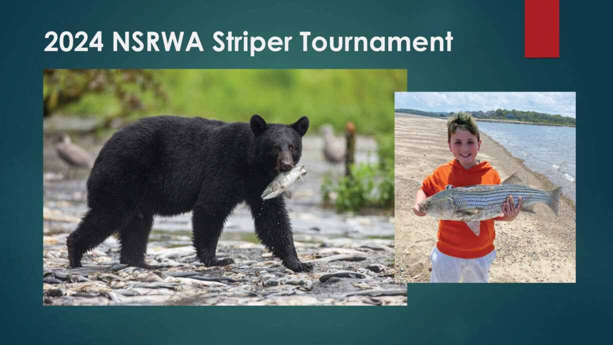 2024 Striper Tournament Leaderboard - North and South Rivers Watershed ...
