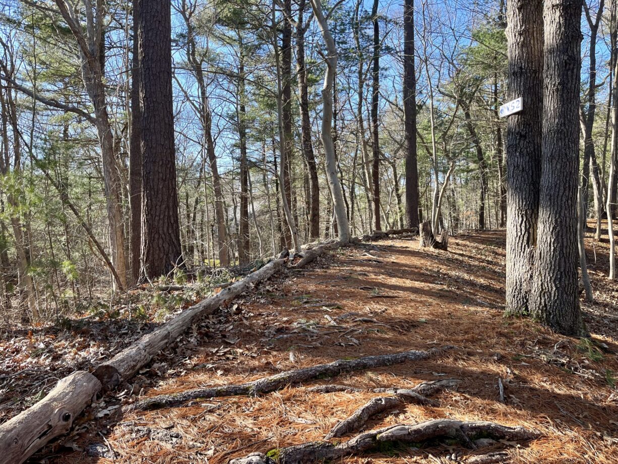 Valley Swamp Conservation Area - North and South Rivers Watershed ...