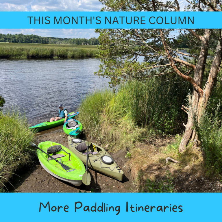 Home - North and South Rivers Watershed Association