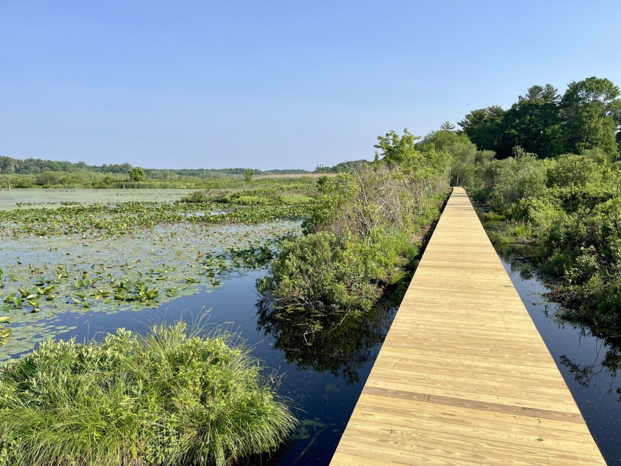 Red Gold Farm - North and South Rivers Watershed Association