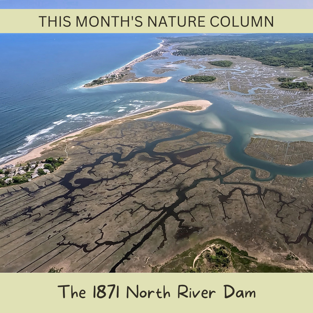 Home - North and South Rivers Watershed Association