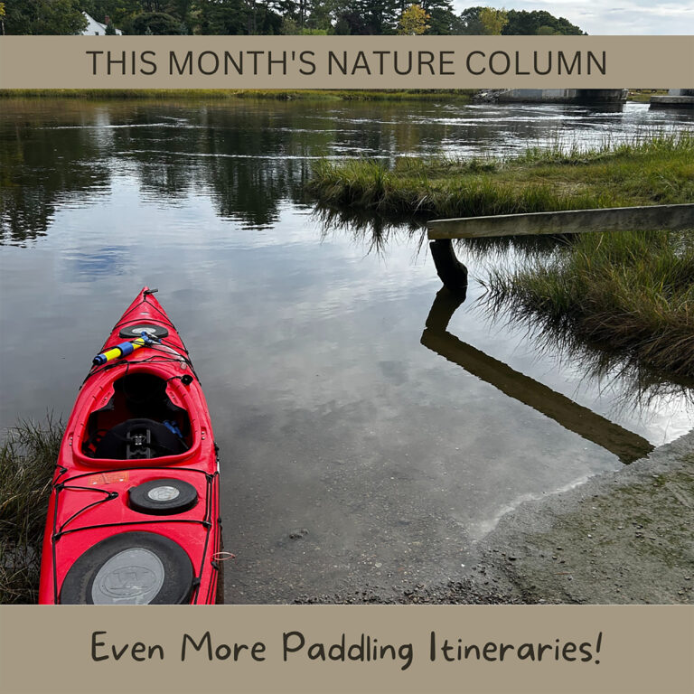 Home - North and South Rivers Watershed Association