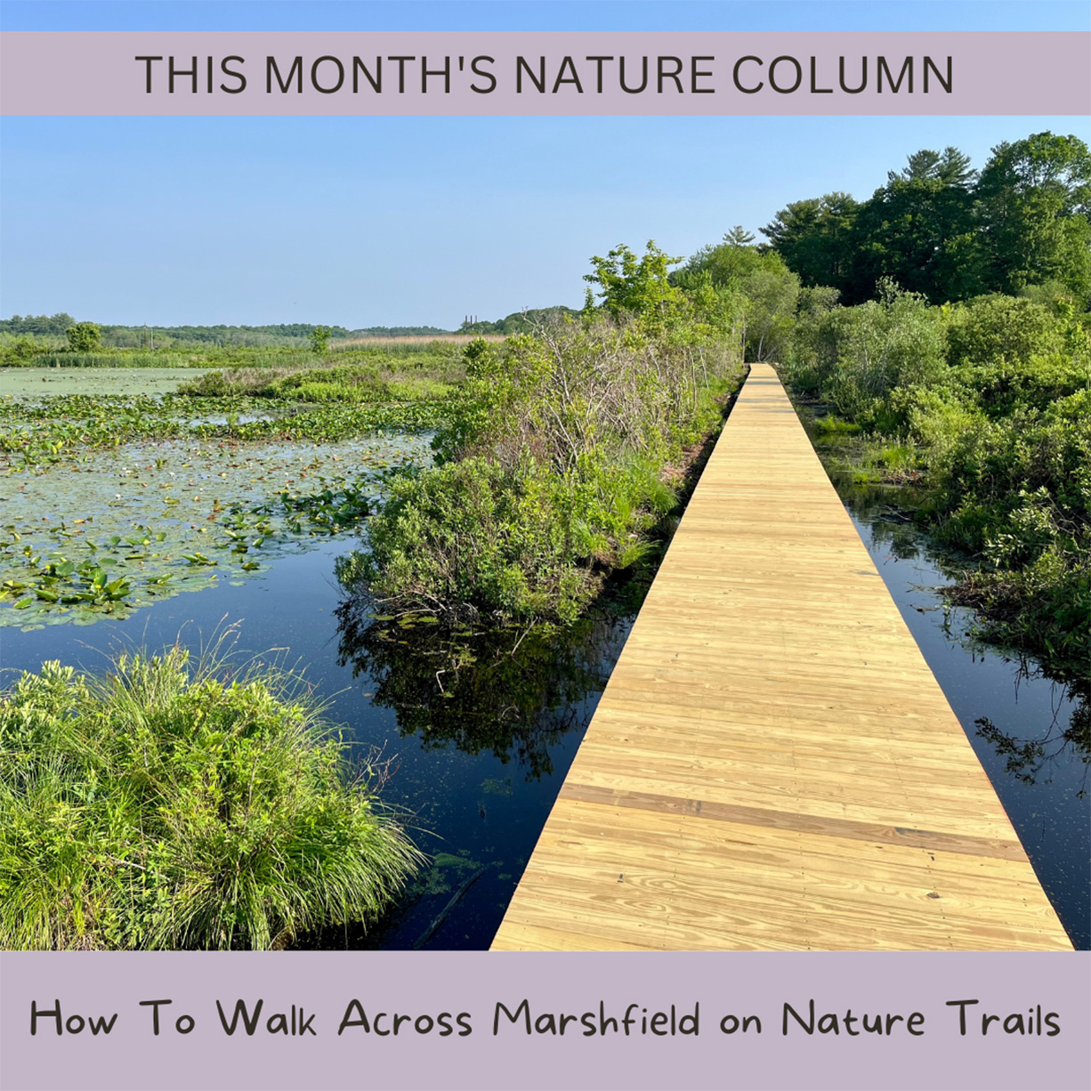 Home - North and South Rivers Watershed Association