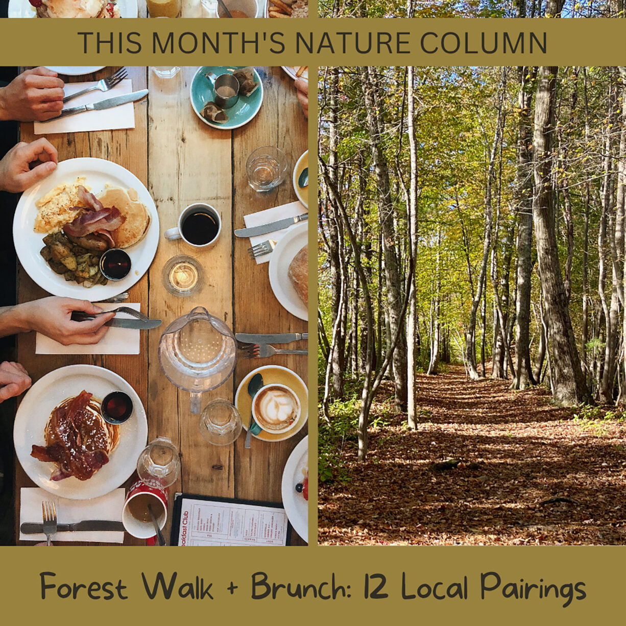 Forest Walk + Brunch: 12 Local Pairings - North and South Rivers ...