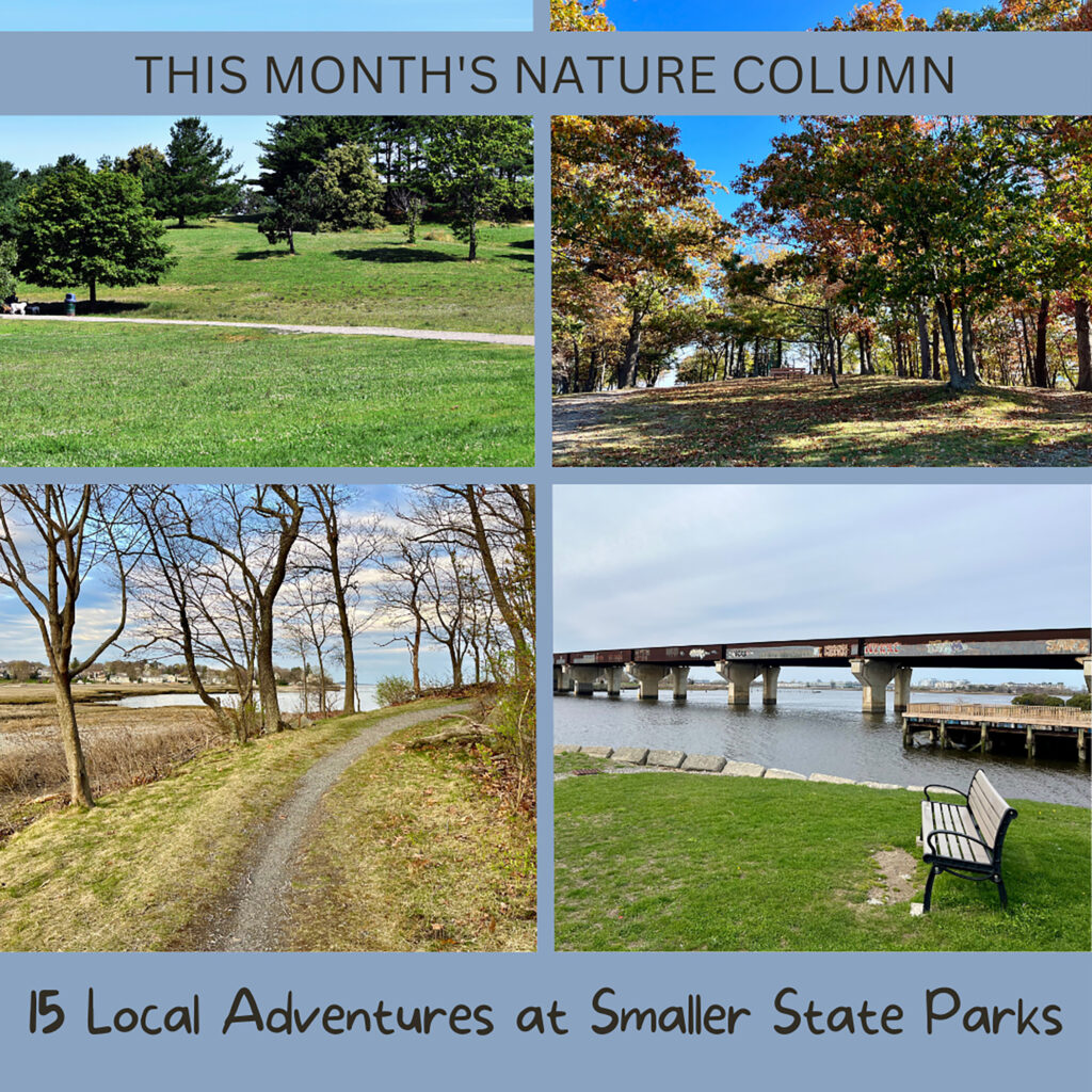 15 Local Adventures at Smaller State Parks - North and South Rivers ...